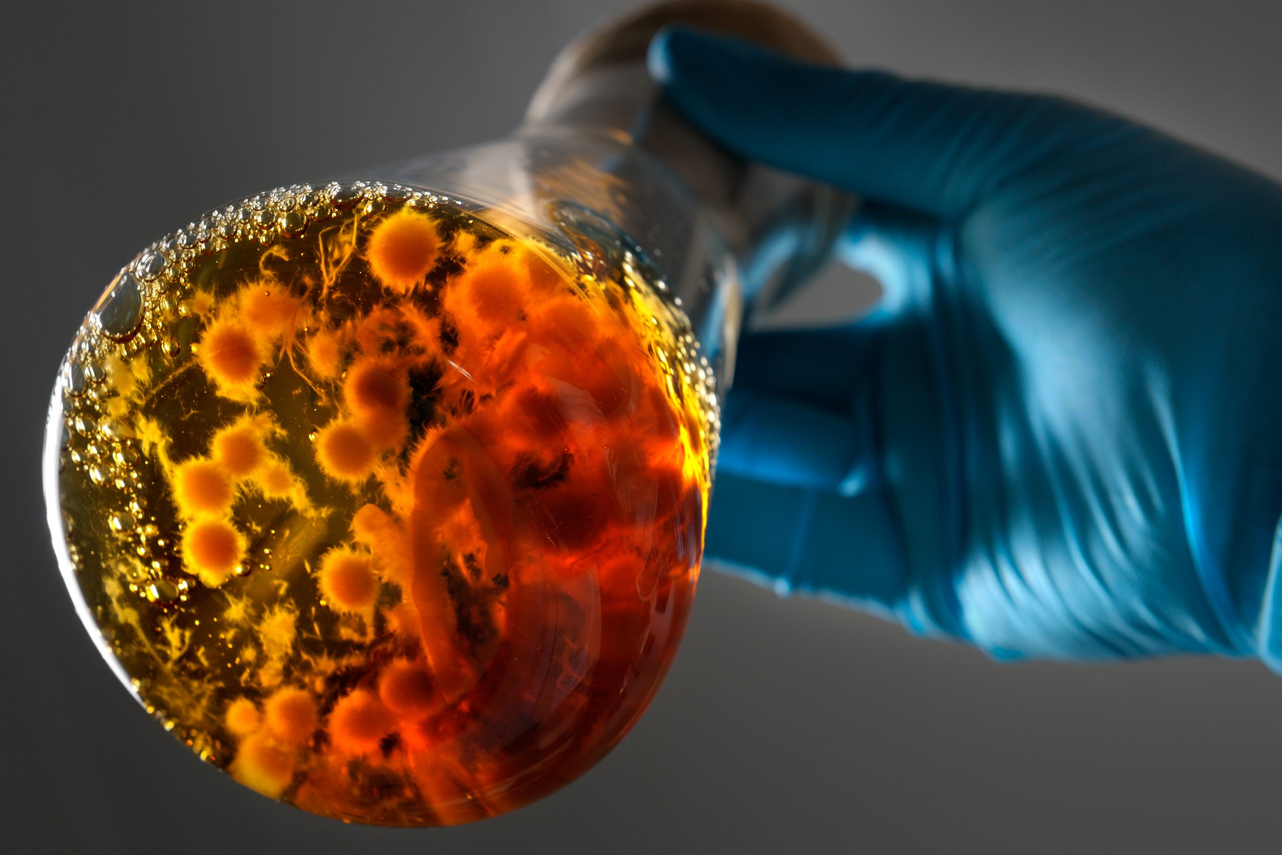 Processus biologiques, organismes vivants ou de leurs composants ...