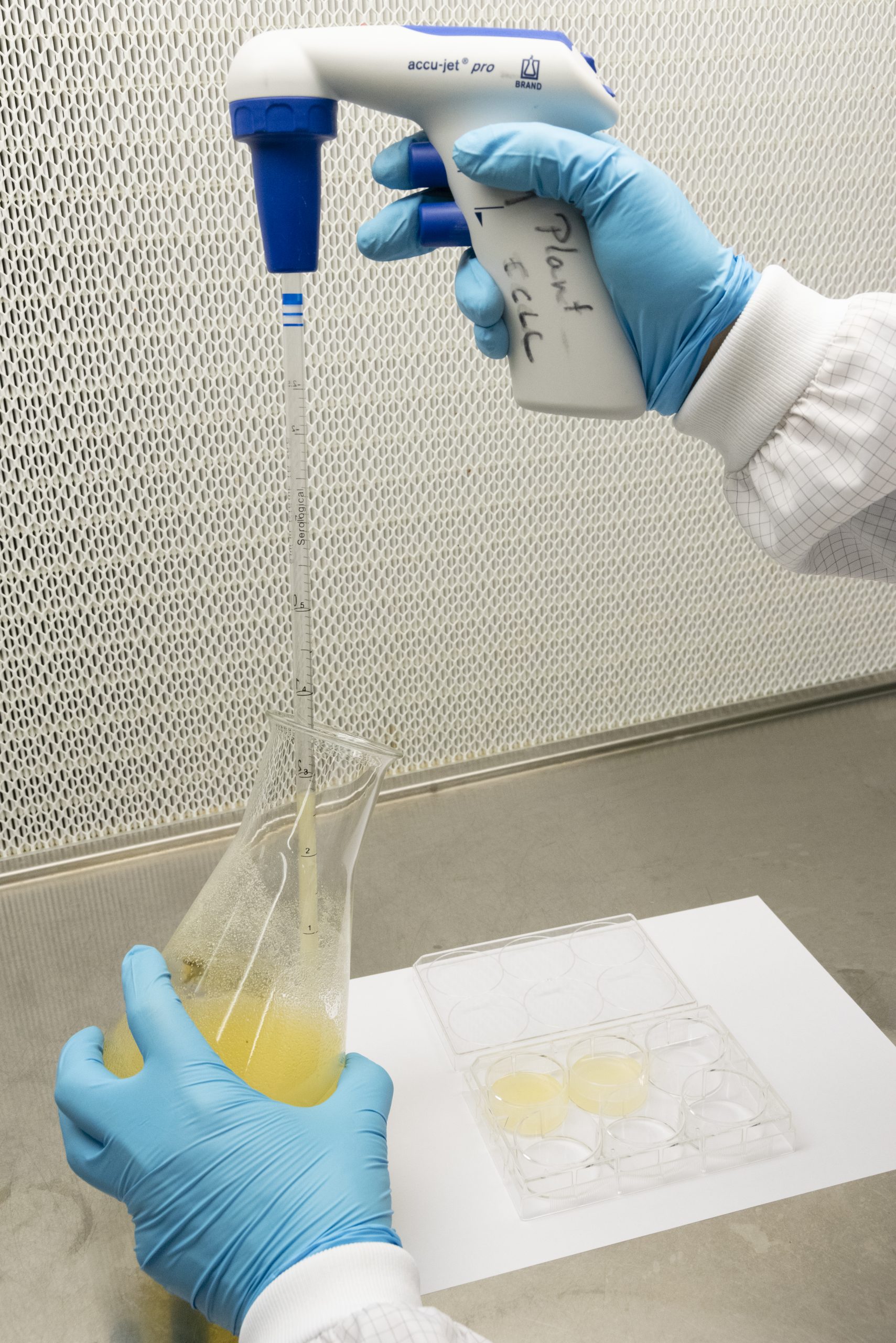 ALGOTECH - Materia Nova – innovation center