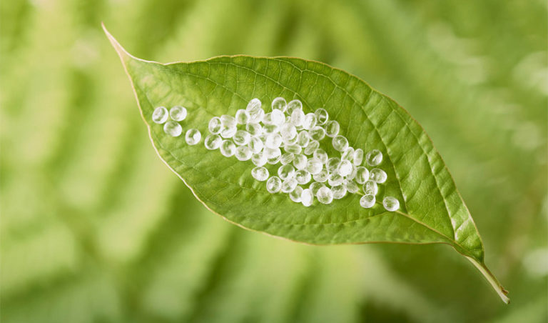 Bioplastiques - Materia Nova - innovation center