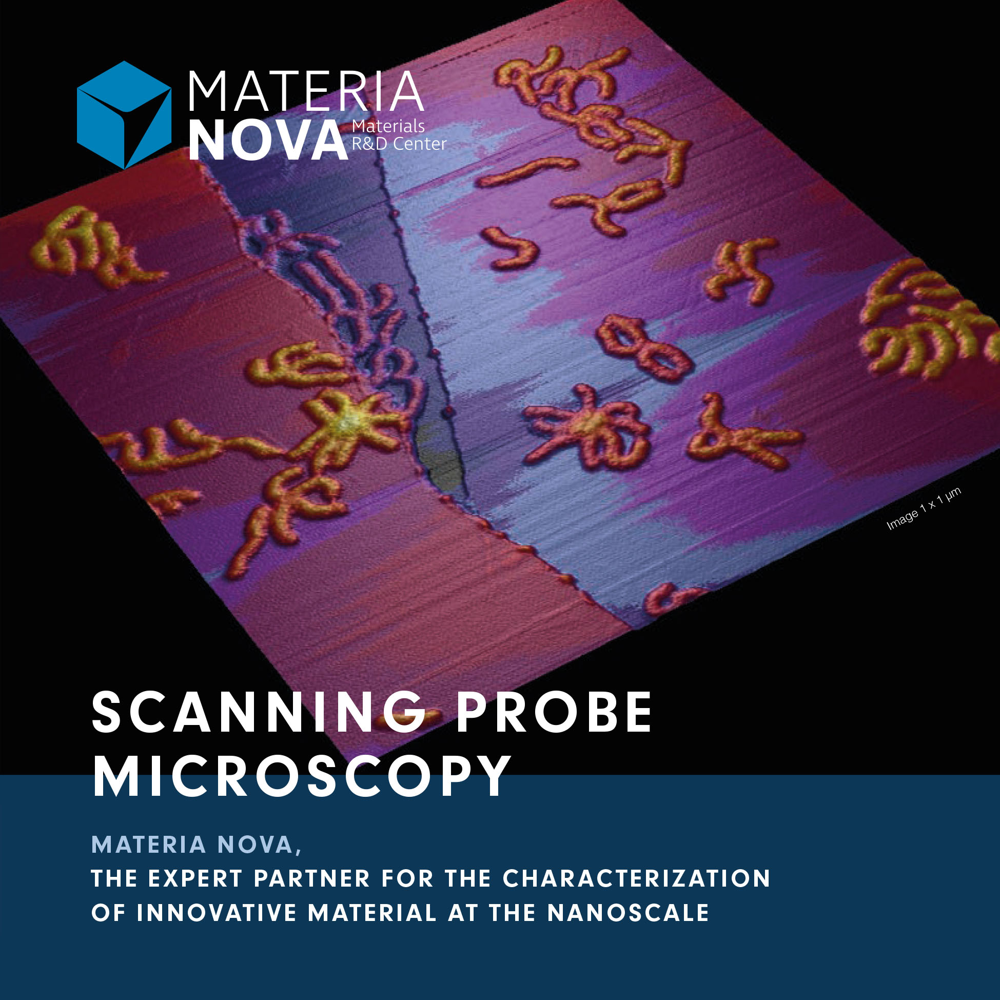 SCANNING PROBE MICROSCOPY - Materia Nova – innovation center