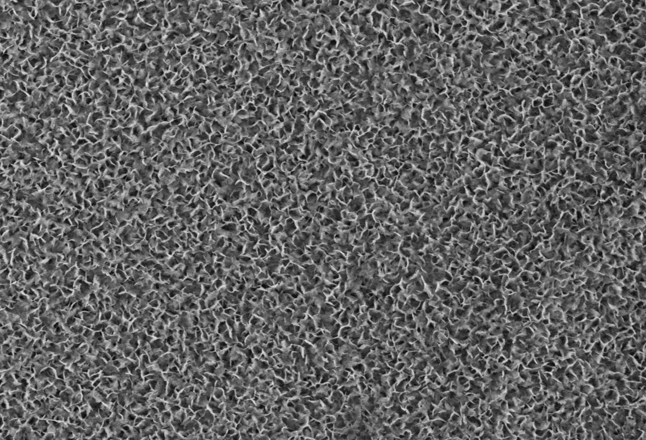 Evaluation de la résistance à la corrosion de l’aluminium anodisé et ...